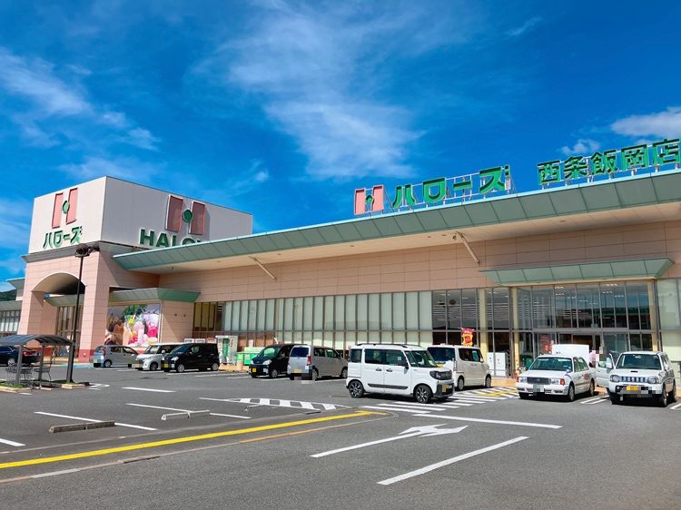 ハローズ西条飯岡店の施設・店舗情報（愛媛県西条市）｜催事スペース【スペースラボ】